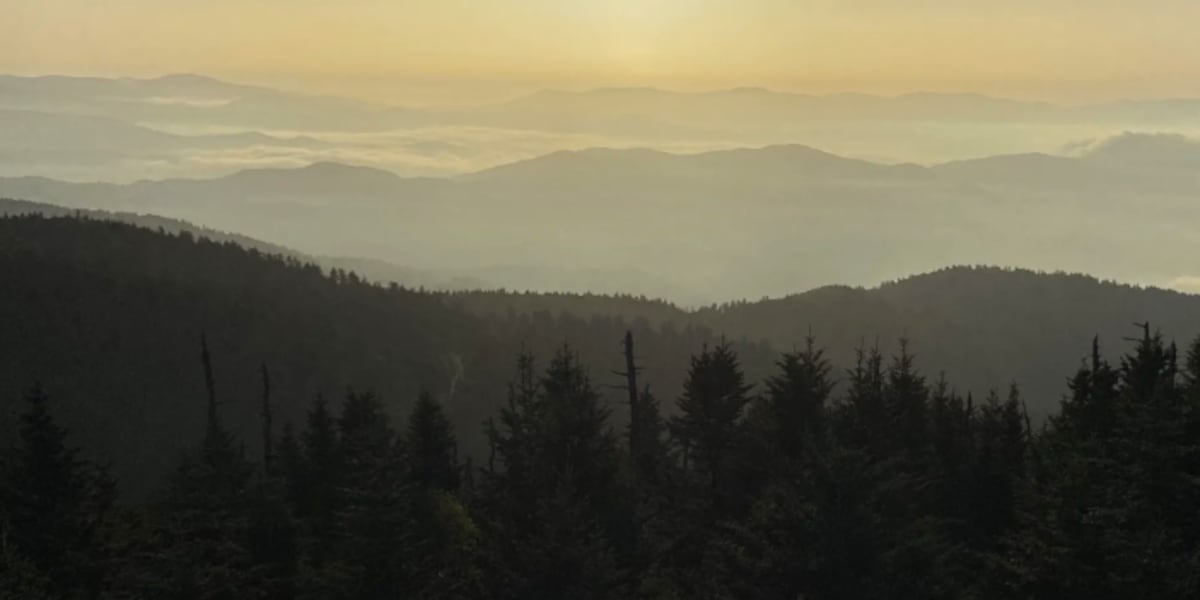 Federal layoffs hit North Carolina's national parks Federal layoffs hit North Carolina's national parks