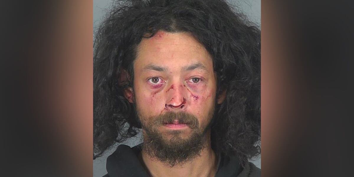 Man Accused Of Sexual Crimes Taken Into Custody Following Fight With Deputy